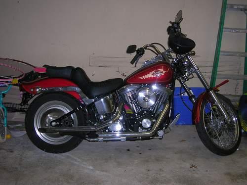 1998 Harley-Davidson® FXSTC Softail® Custom for Sale in HILLSDALE, NJ ...