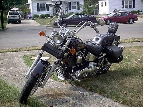 1994 Harley-Davidson® FXSTC Softail® Custom for Sale in hamilton, OH ...