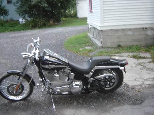 2003 Harley-Davidson® FXST/I Softail® Standard for Sale in Potsdam, NY ...