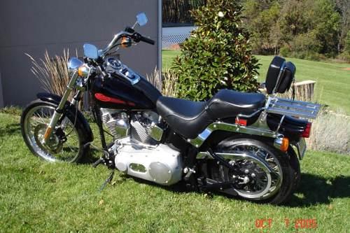 2000 Harley-Davidson® FXST Softail® Standard for Sale in Annandale, NJ ...