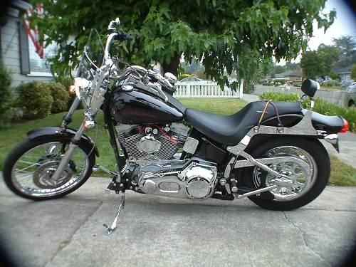 2002 Harley-Davidson® FXST/I Softail® Standard for Sale in Santa Rosa ...