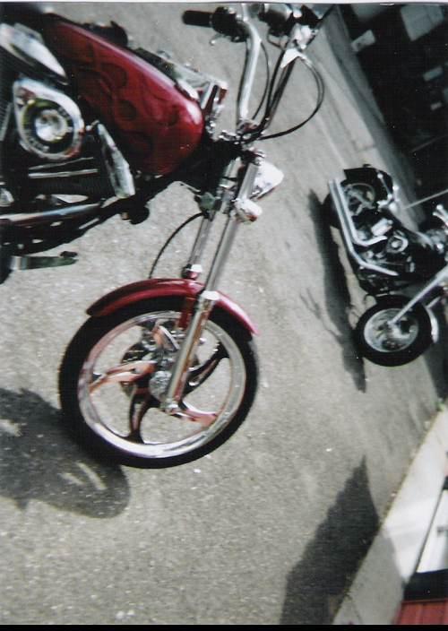 1996 Harley-Davidson® FXSTC Softail® Custom for Sale in Tuxedo Park, NY ...