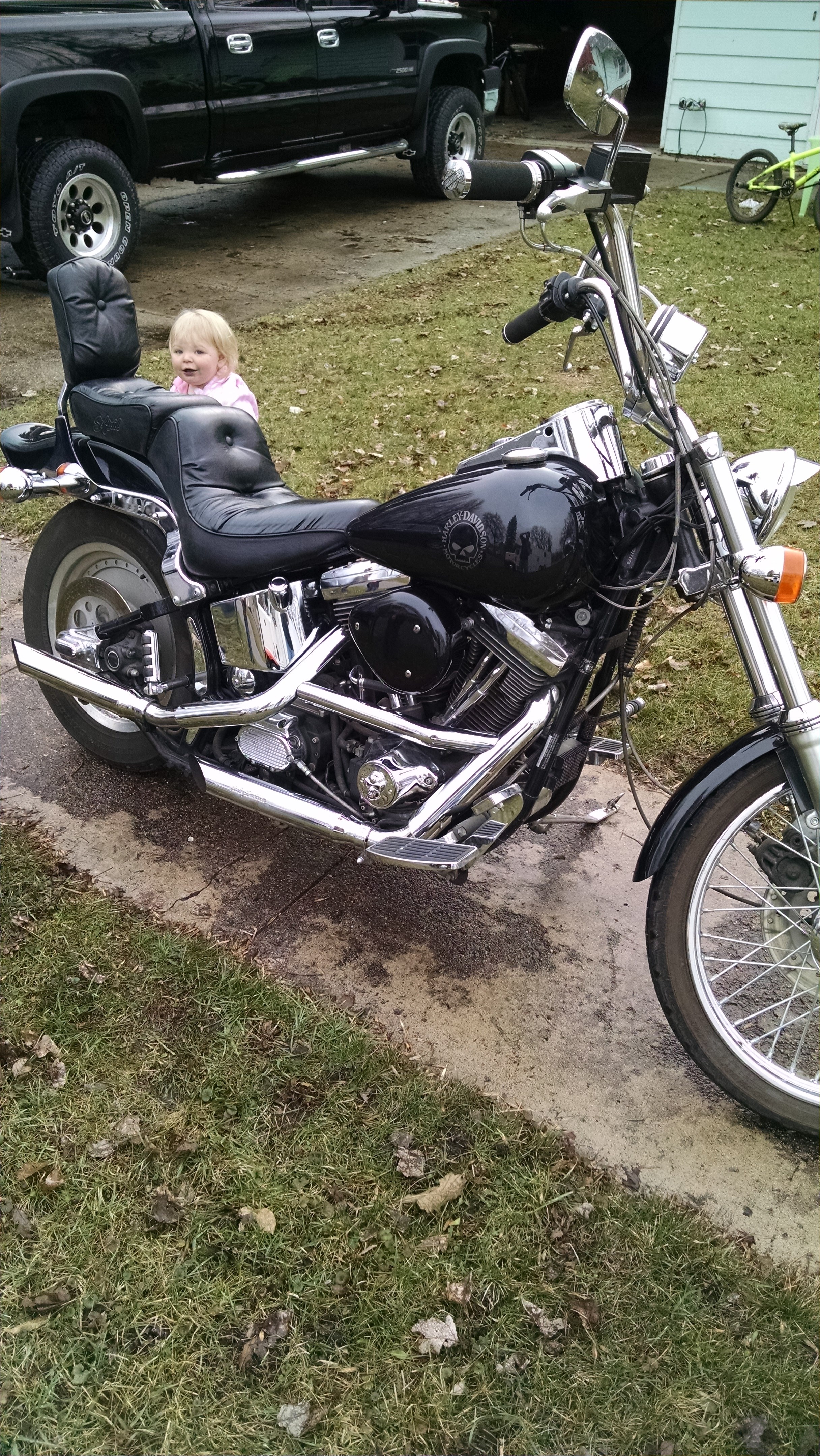 1991 Harley-Davidson® FXSTC Softail® Custom for Sale in Hoffman , MN ...