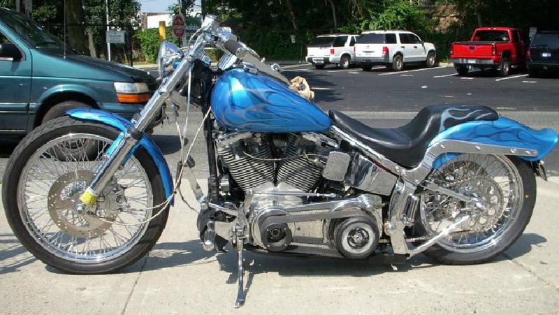 1991 Harley-Davidson® FXSTC Softail® Custom for Sale in new york, NY ...