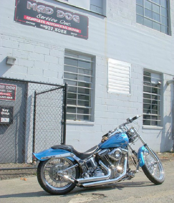 1991 Harley-Davidson® FXSTC Softail® Custom for Sale in new york, NY ...
