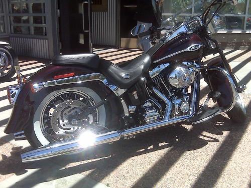 2005 Harley-Davidson® FLSTSC/I Softail® Springer® Classic for Sale in ...