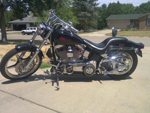 2001 Harley-Davidson® FXST/I Softail® Standard for Sale in janesville ...