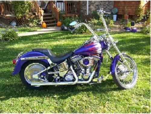 1987 Harley-Davidson® FXSTC Softail® Custom for Sale in Neillsville, WI ...