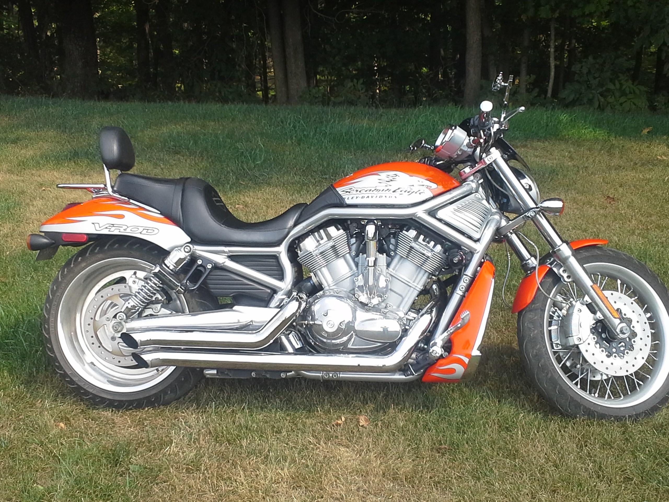 2007 Harley-Davidson® VRSCX Screamin' Eagle® V-Rod for Sale in ...