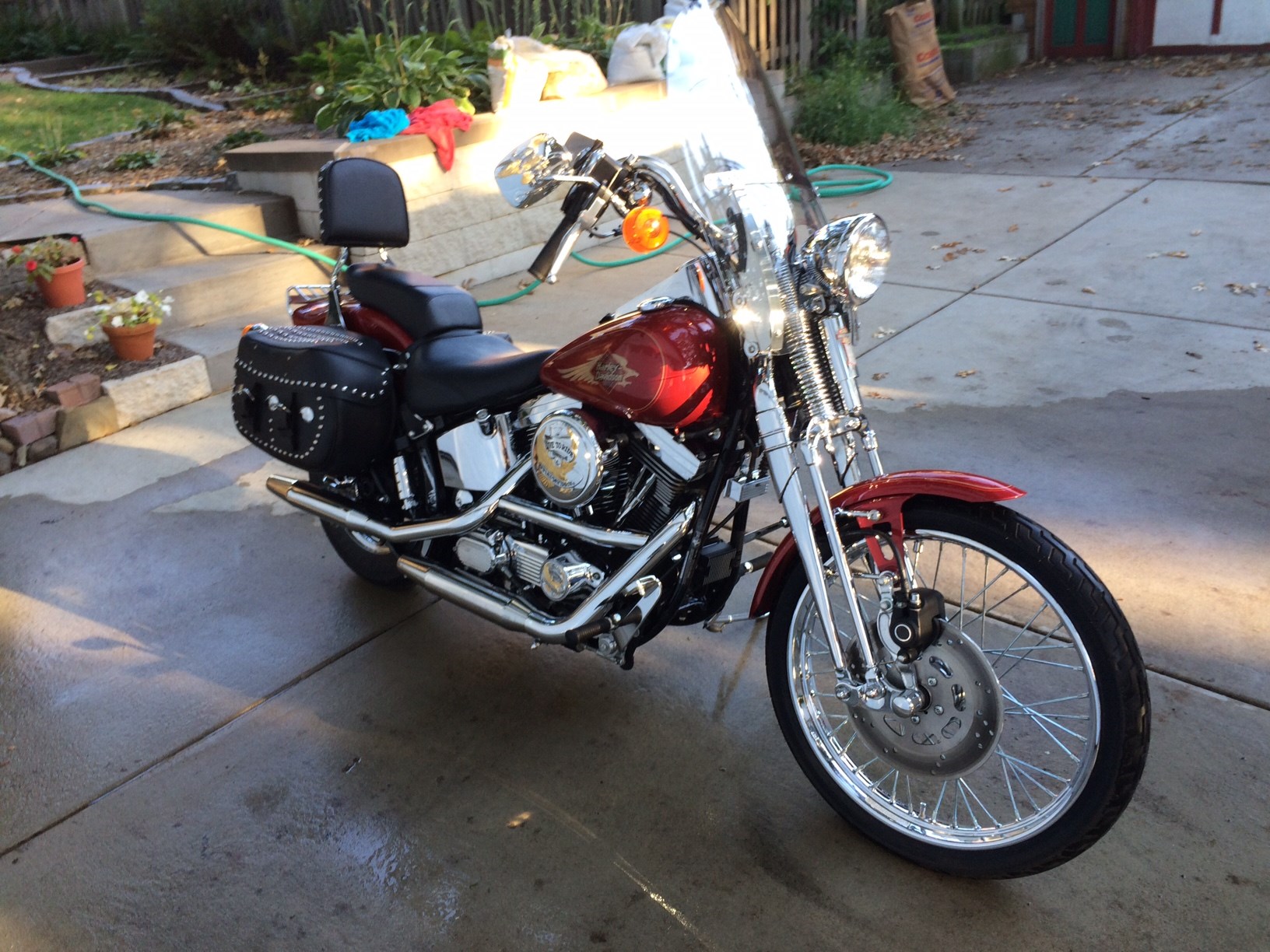 1998 Harley-Davidson® FXSTS Springer® Softail® for Sale in Minneapolis ...