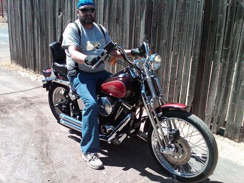 1990 Harley-Davidson® FXSTS Springer® Softail for Sale in Alpine, TX ...