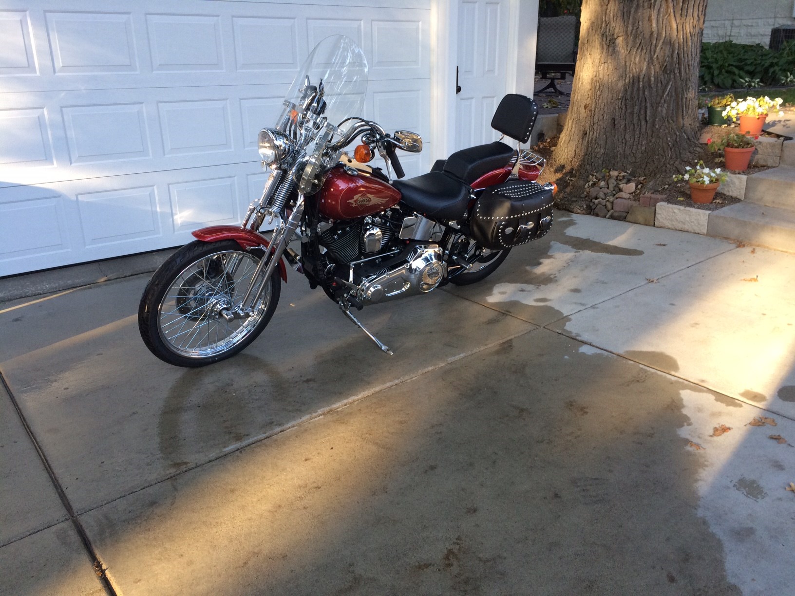 1998 Harley-Davidson® FXSTS Springer® Softail® for Sale in Minneapolis ...