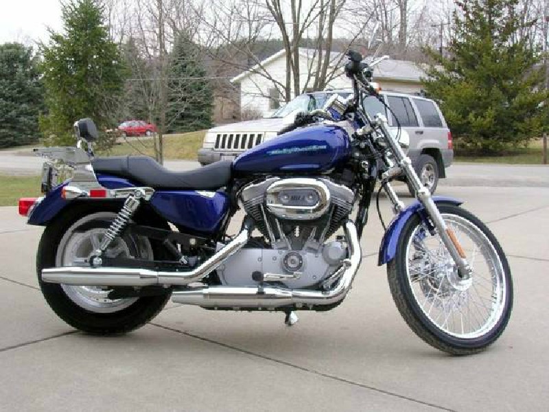 2006 Harley-Davidson® XL883C Sportster® 883 Custom for Sale in Sayre ...