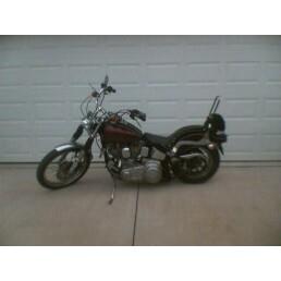 1985 Harley-Davidson® FXST Softail® for Sale in Raleigh, NC (Item 73570)