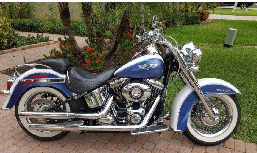 2015 Harley-Davidson® FLSTN Softail® Deluxe for Sale in South Lake ...