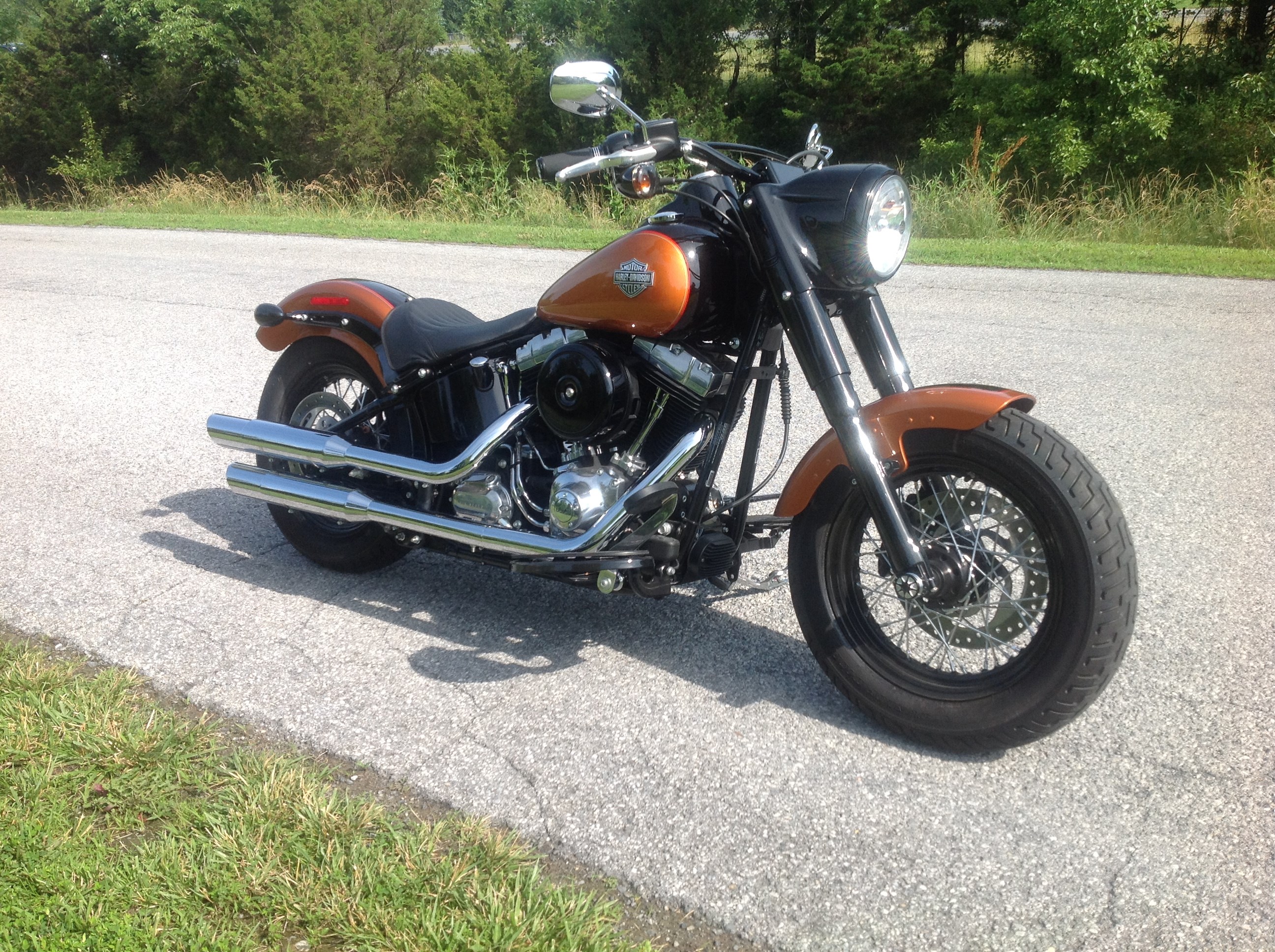 2015 Harley-Davidson® FLS Softail® Slim® for Sale in Charles Town, WV ...