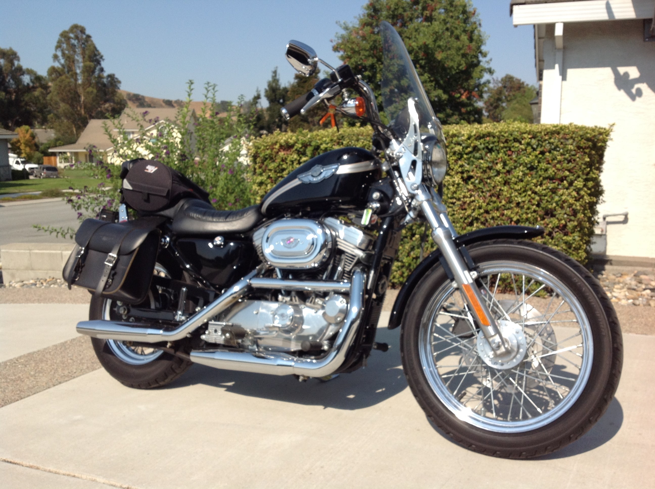 2003 Harley-Davidson® XLH-883 Sportster® 883 for Sale in Hollister, CA ...