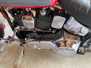 1998 Harley-Davidson® FXSTC Softail® Custom for Sale in Alexandria, VA ...