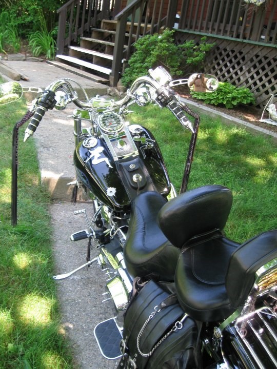1987 Harley-Davidson® FXSTC Softail® Custom for Sale in Chester, NH ...