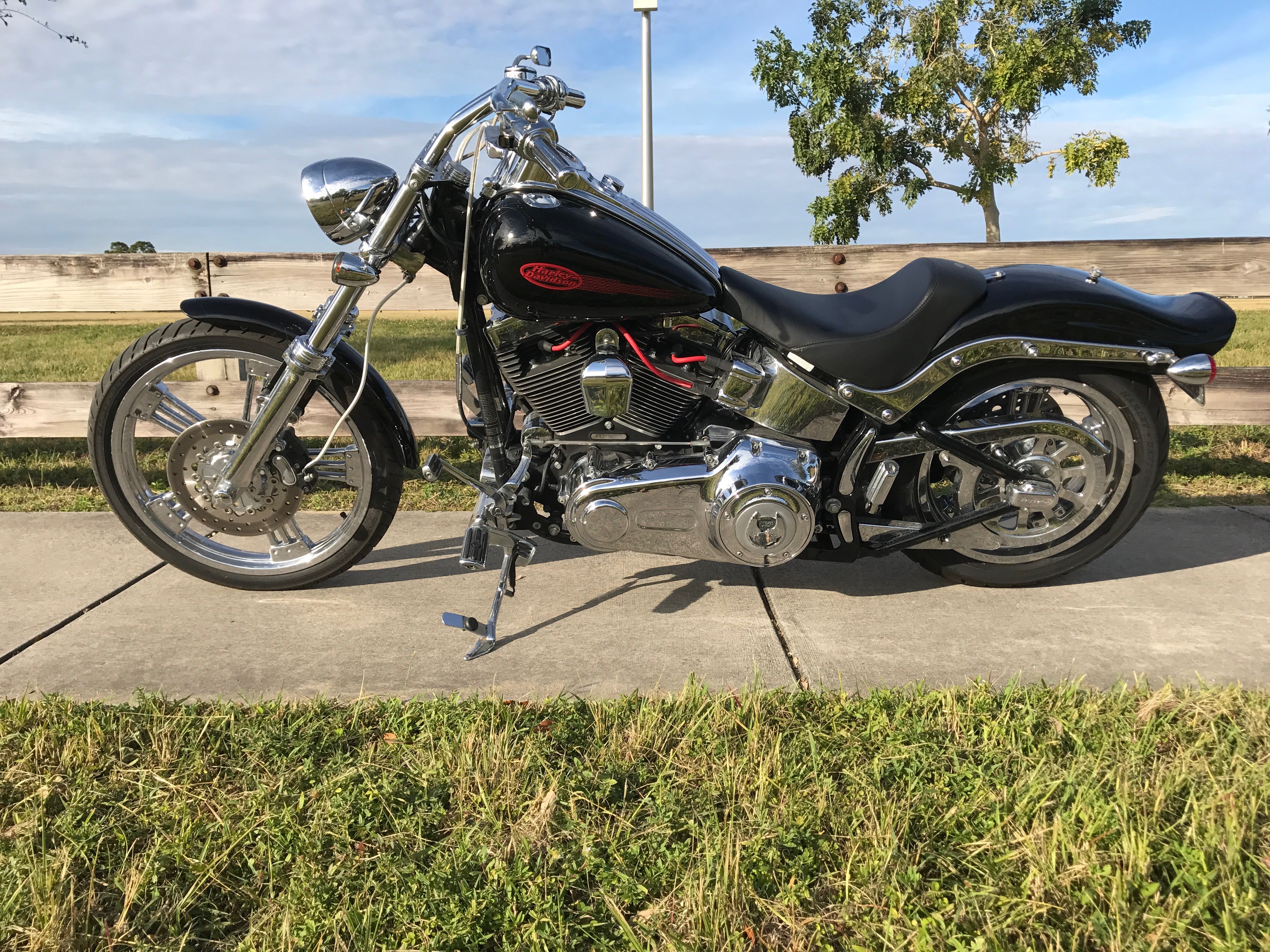 2008 Harley-Davidson® FXSTC Softail® Custom for Sale in miami, FL (Item ...