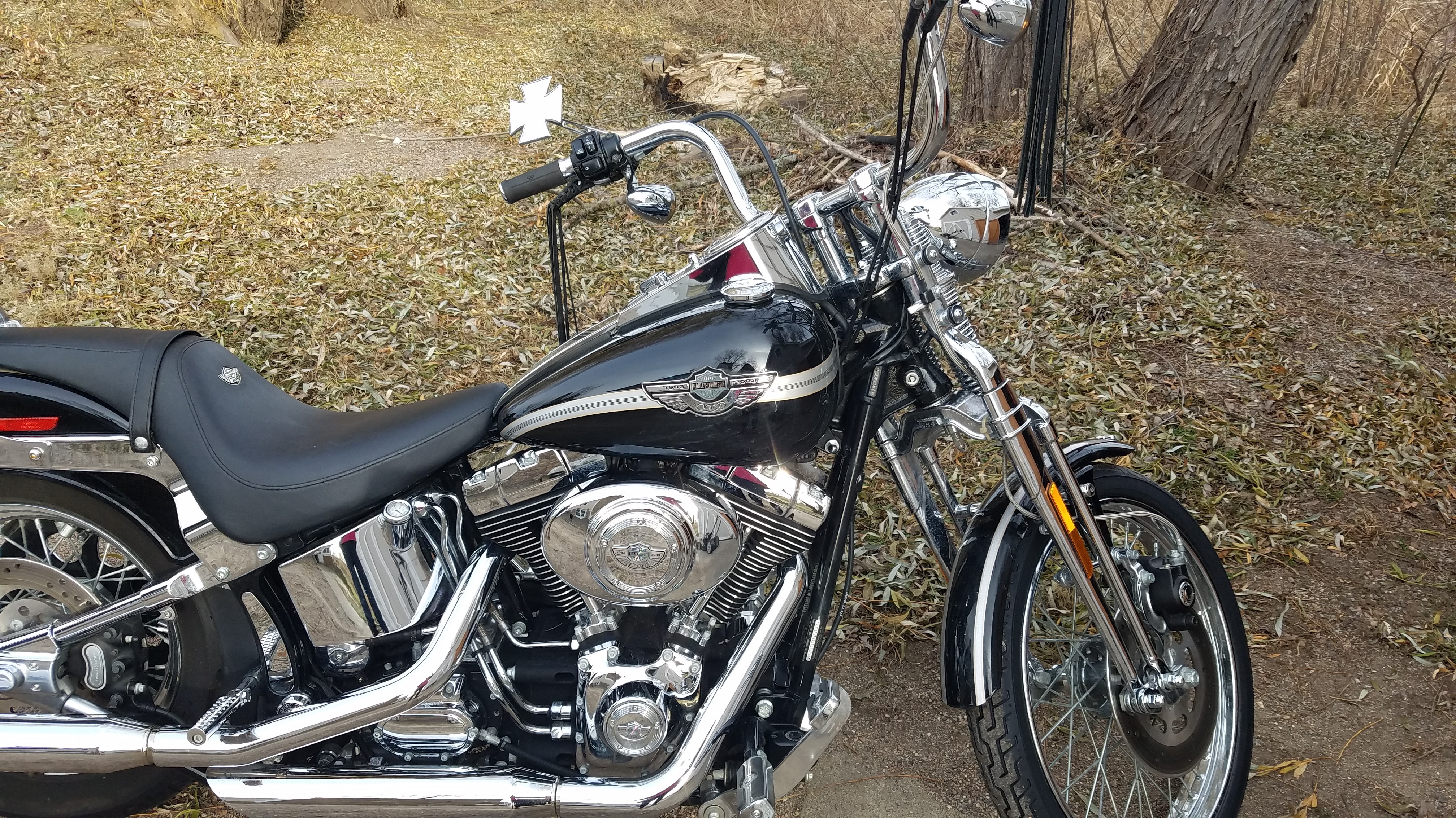 2003 Harley-Davidson® FXSTS-ANV Springer® Softail® Anniversary for Sale ...