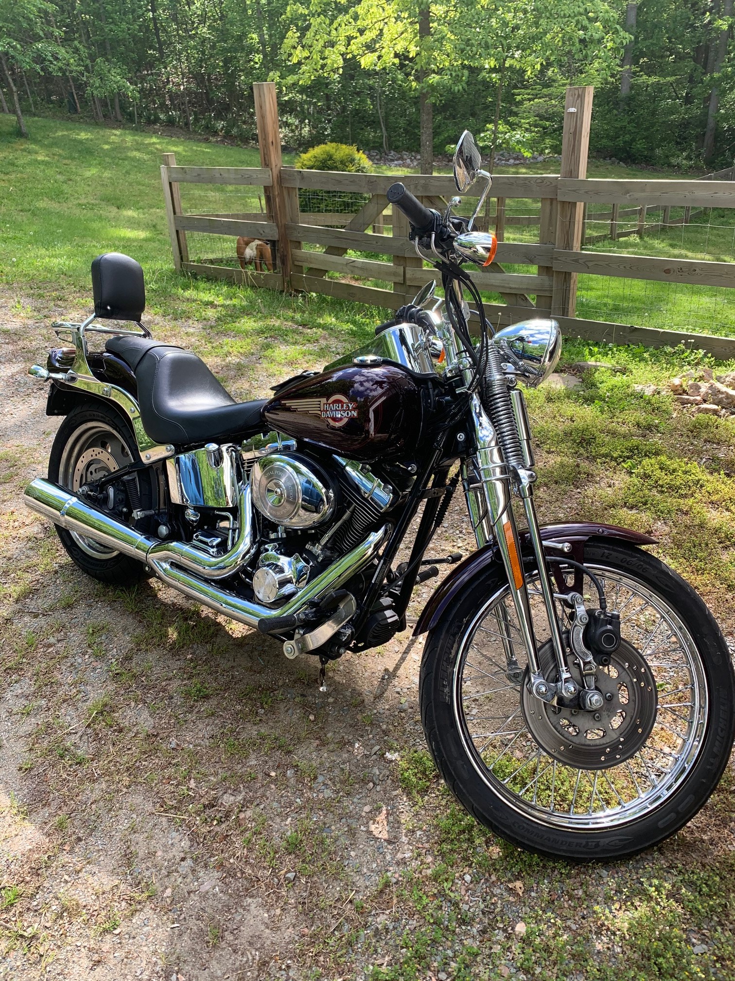 2006 Harley-Davidson® FXSTS/I Springer® Softail® for Sale in Powhatan ...