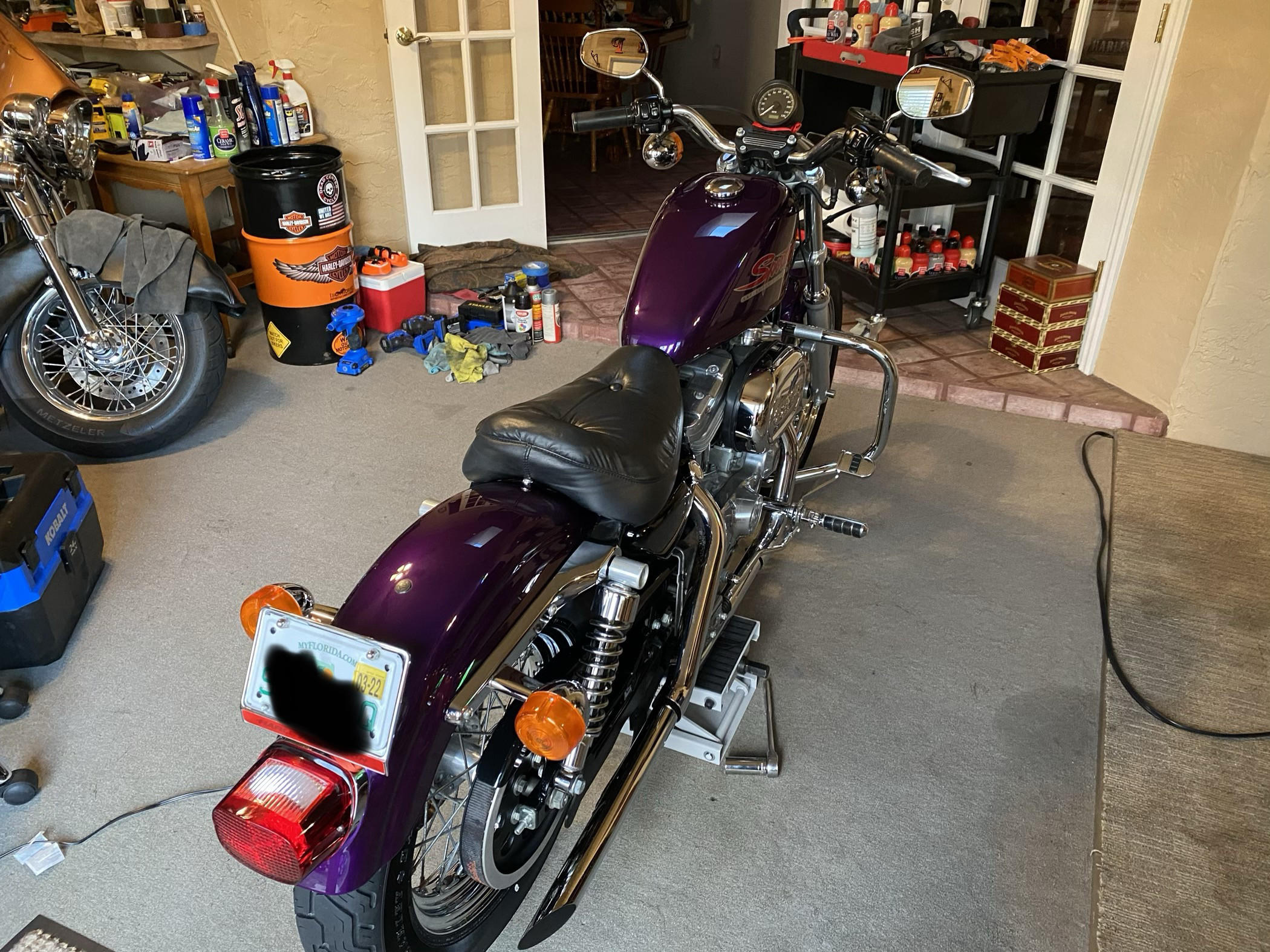 2001 Harley-Davidson® XL883C Sportster® 883 Custom for Sale in Winter ...