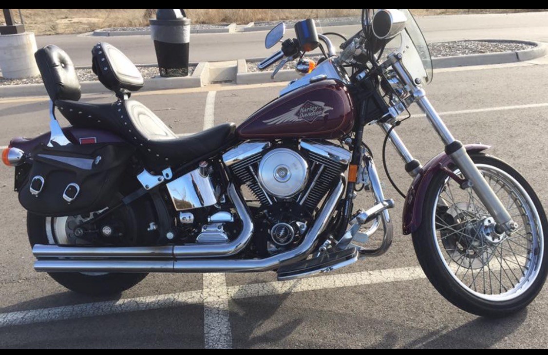 1998 Harley-Davidson® FXSTC Softail® Custom for Sale in Hutchinson, KS ...