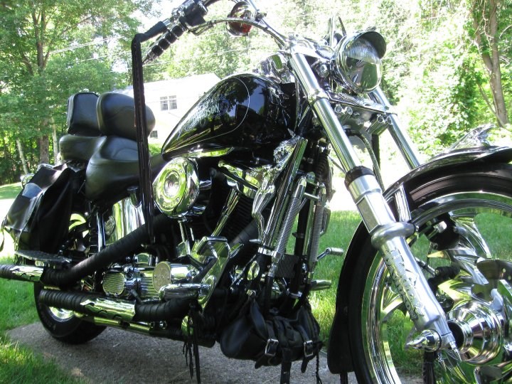 1987 Harley-Davidson® FXSTC Softail® Custom for Sale in Chester, NH ...