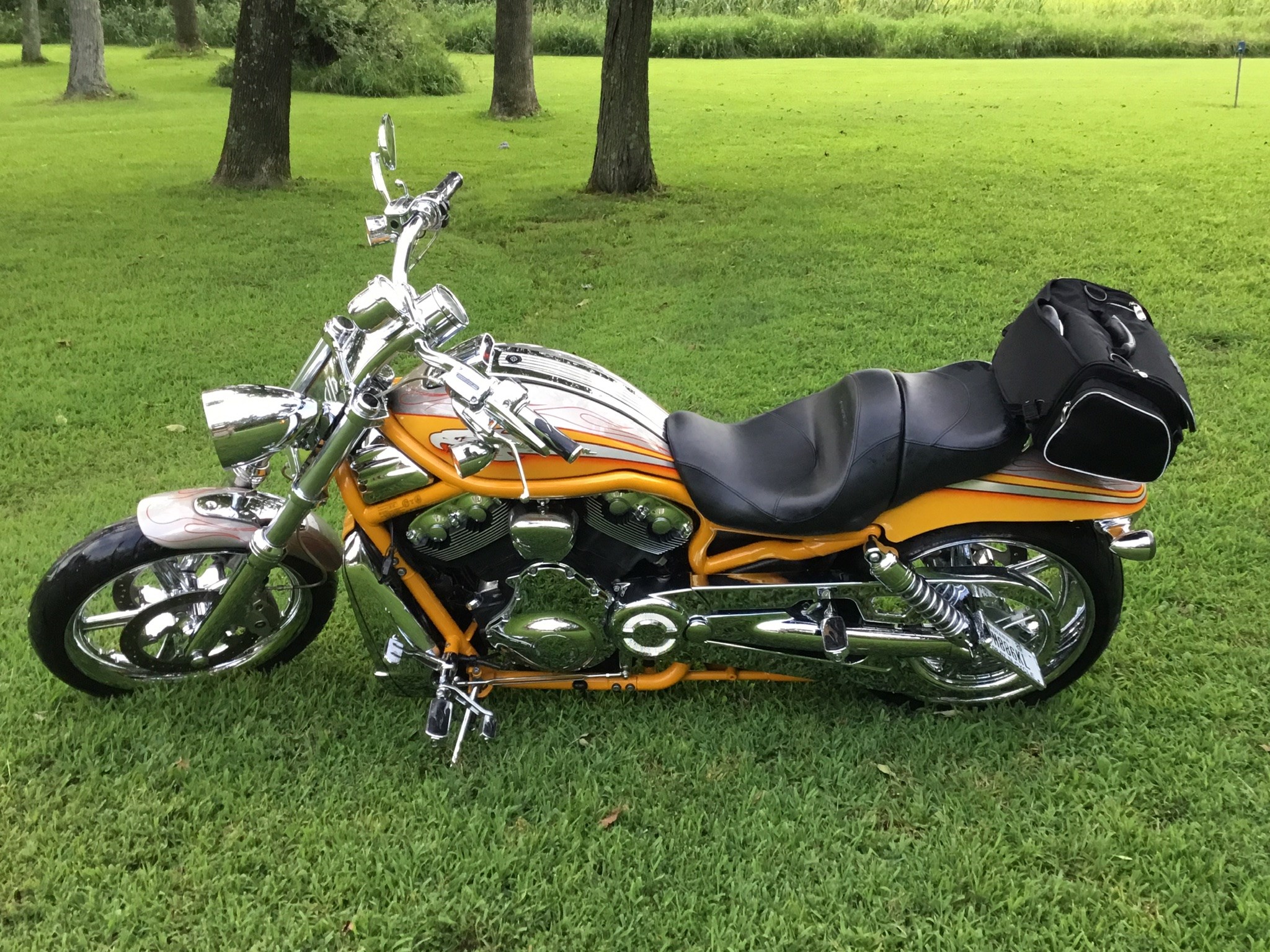 2006 Harley-Davidson® VRSCSE2 Screamin' Eagle® V-Rod® for Sale in ...