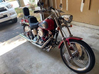 1998 Harley-Davidson® FXSTC Softail® Custom for Sale in Alexandria, VA ...