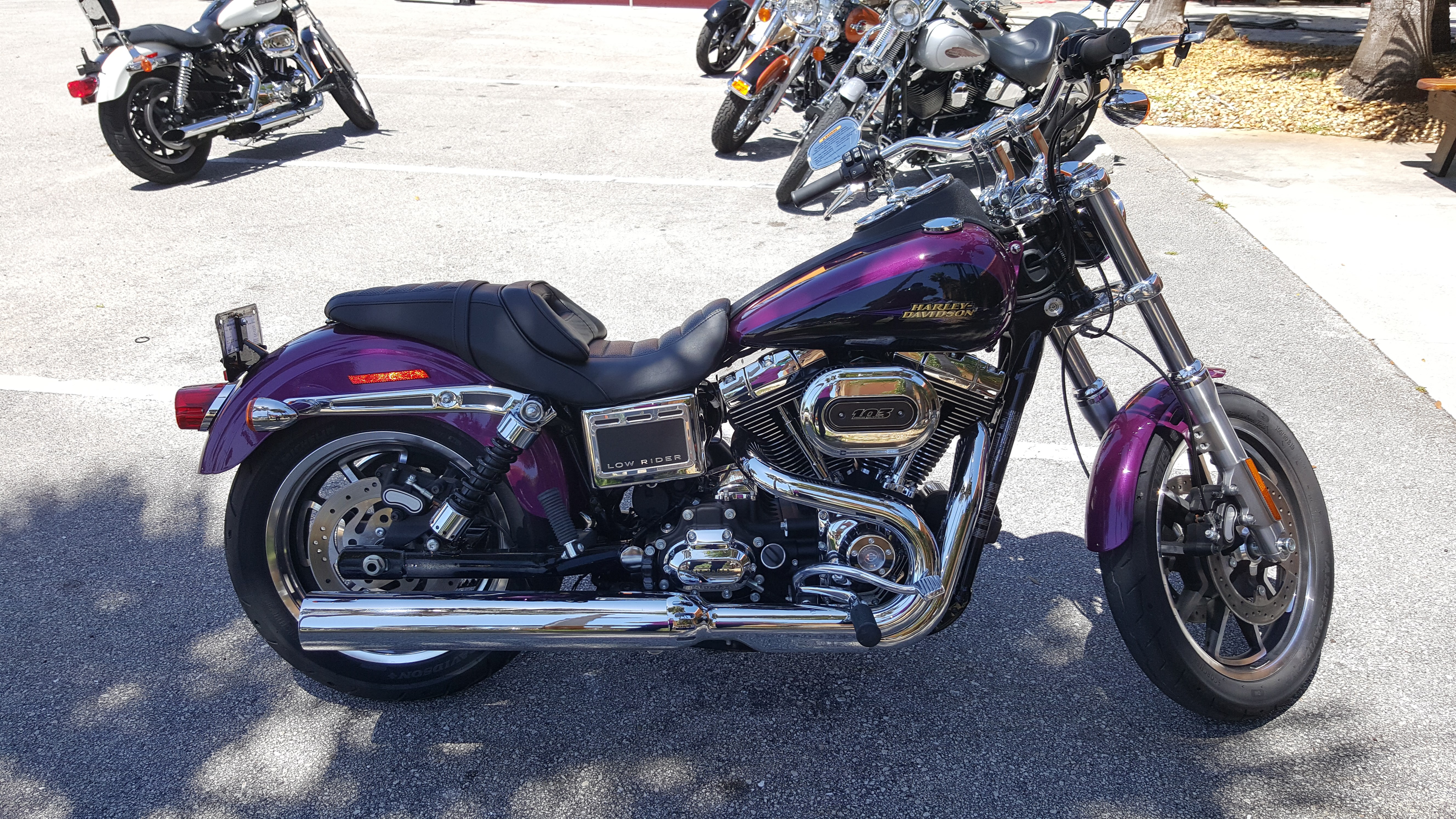 2016 Harley-Davidson® FXDL Dyna® Low Rider® for Sale in Stuart, FL ...