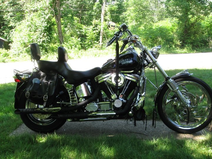 1987 Harley-Davidson® FXSTC Softail® Custom for Sale in Chester, NH ...