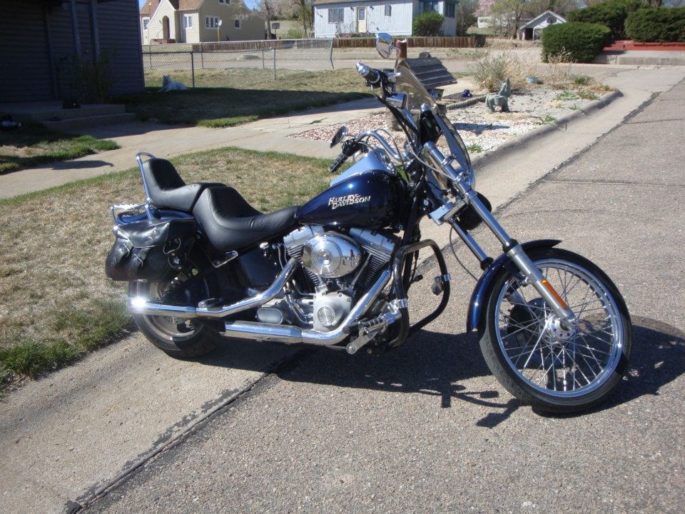 2006 Harley-Davidson® FXST/I Softail® Standard for Sale in Stratton, NE ...
