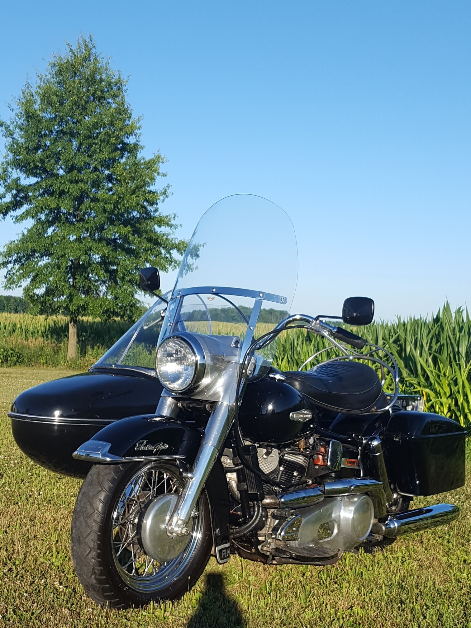 1969 Harley-Davidson® FLH Electra Glide® Super Sport for Sale in Tiro ...