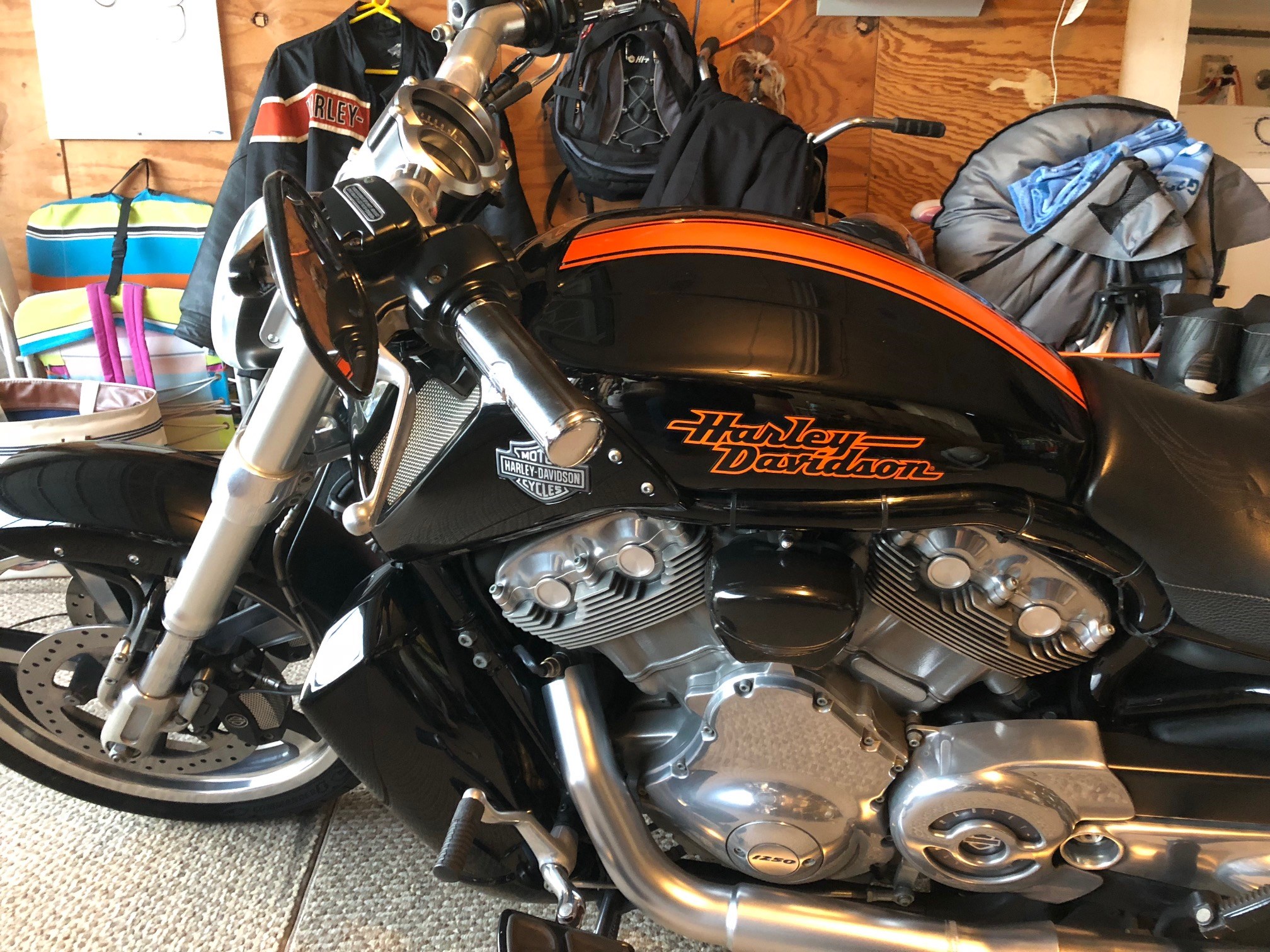 2009 Harley-Davidson® VRSCF V-Rod® Muscle® for Sale in San Diego, CA ...