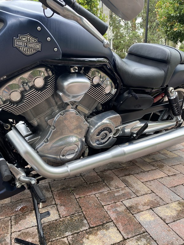 2009 Harley-Davidson® VRSCF V-Rod® Muscle® for Sale in Delray Beach, FL ...