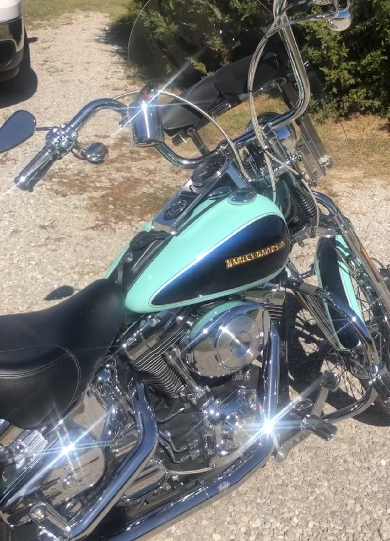 2002 Harley-Davidson® FXSTS Springer® Softail® for Sale in Waterloo ...