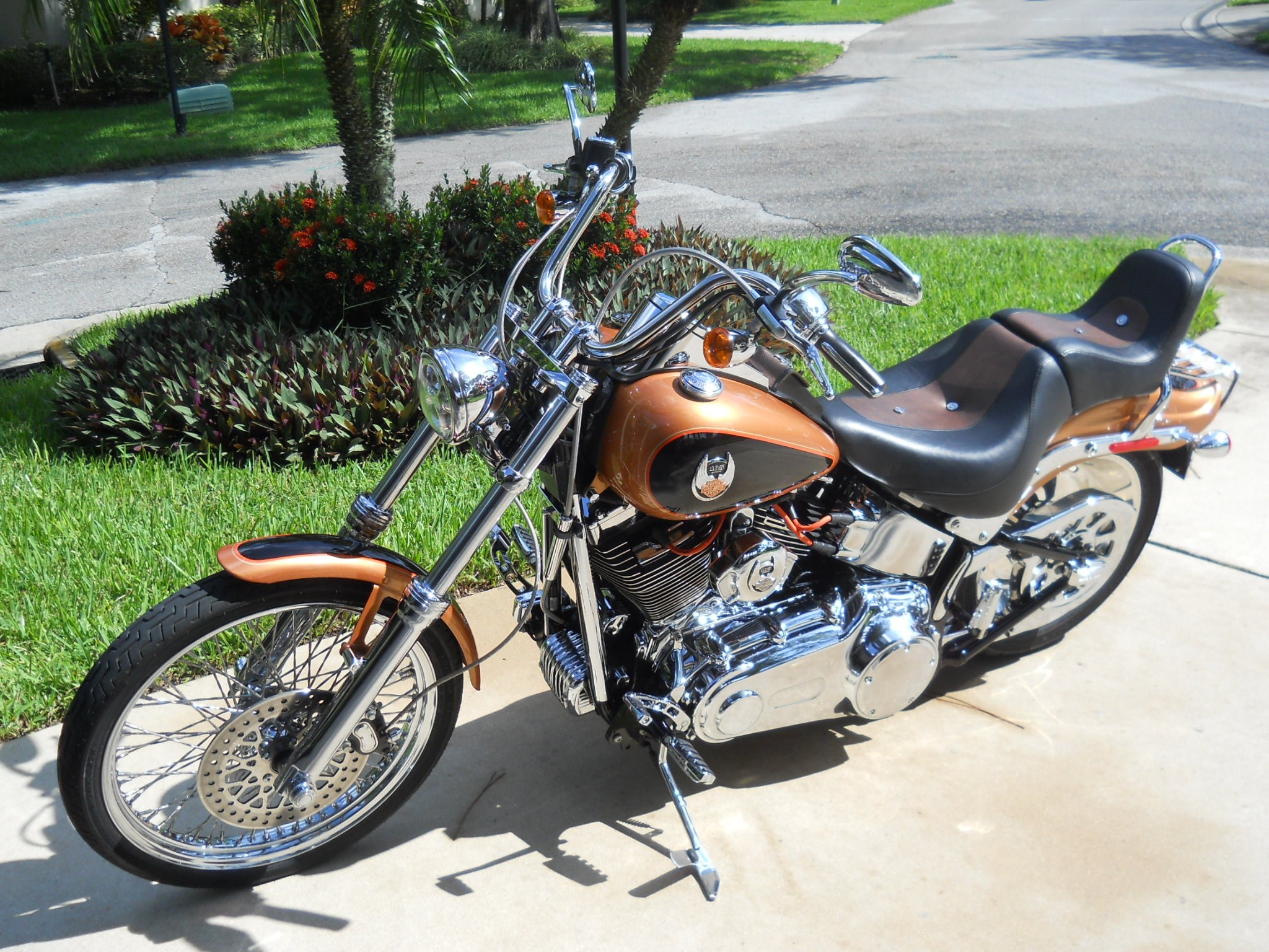 2008 Harley-Davidson® FXSTC-ANV Softail® Custom Anniversary for Sale in ...