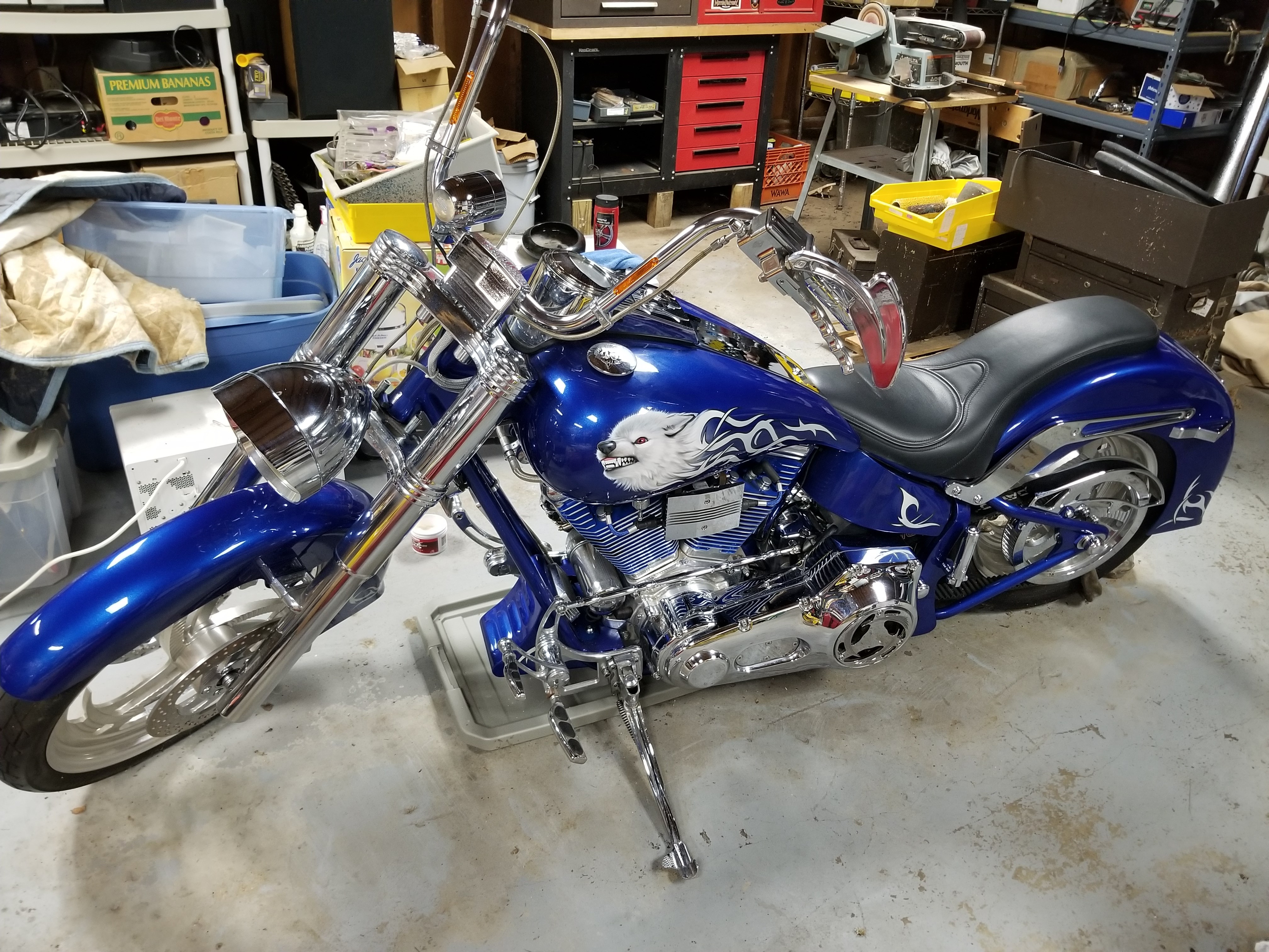 1998 Special Construction Custom Softail for Sale in Tryon, NC (Item ...