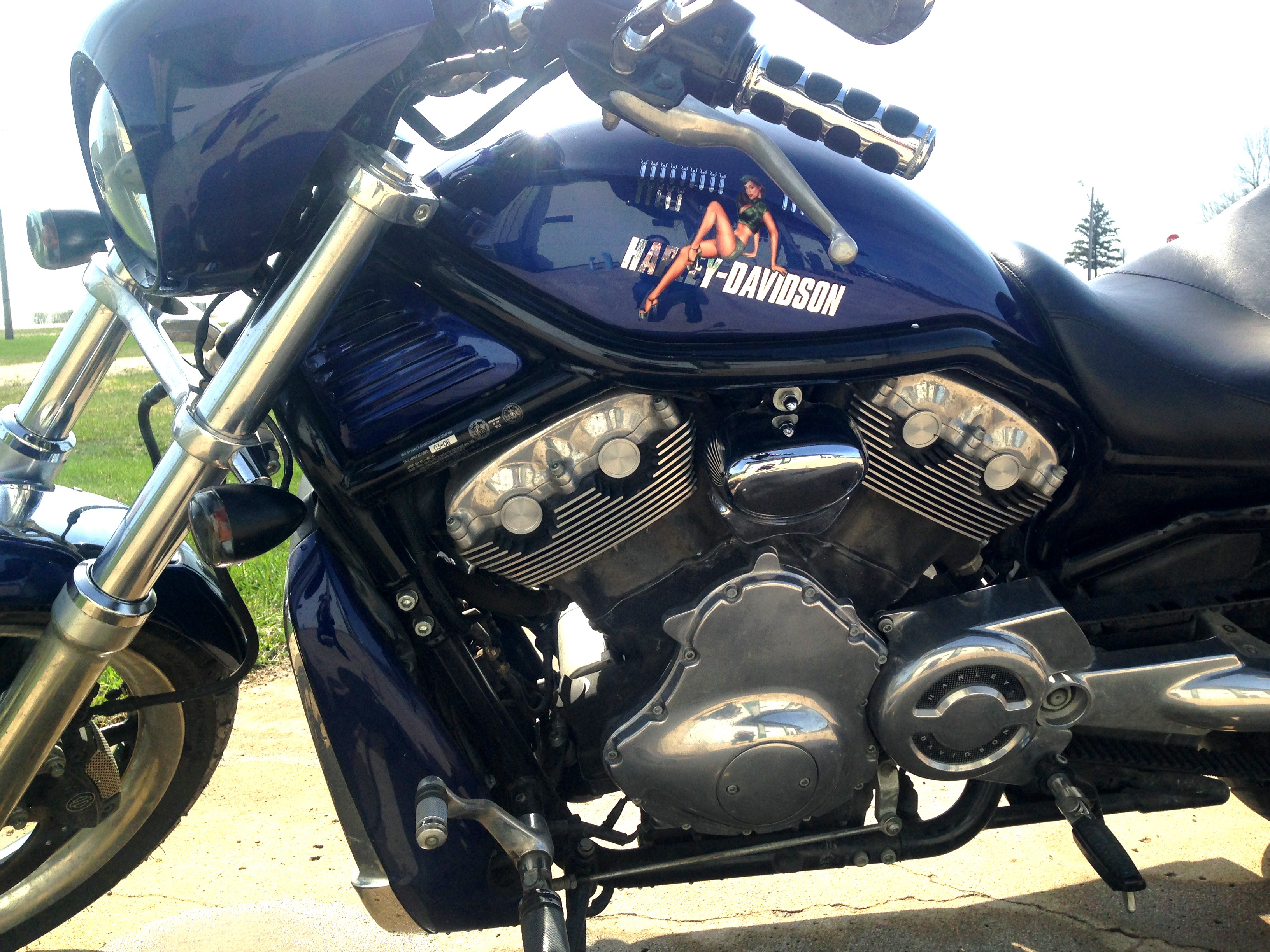 2006 Harley-Davidson® VRSCD V-Rod® Night Rod® for Sale in Osakis, MN ...