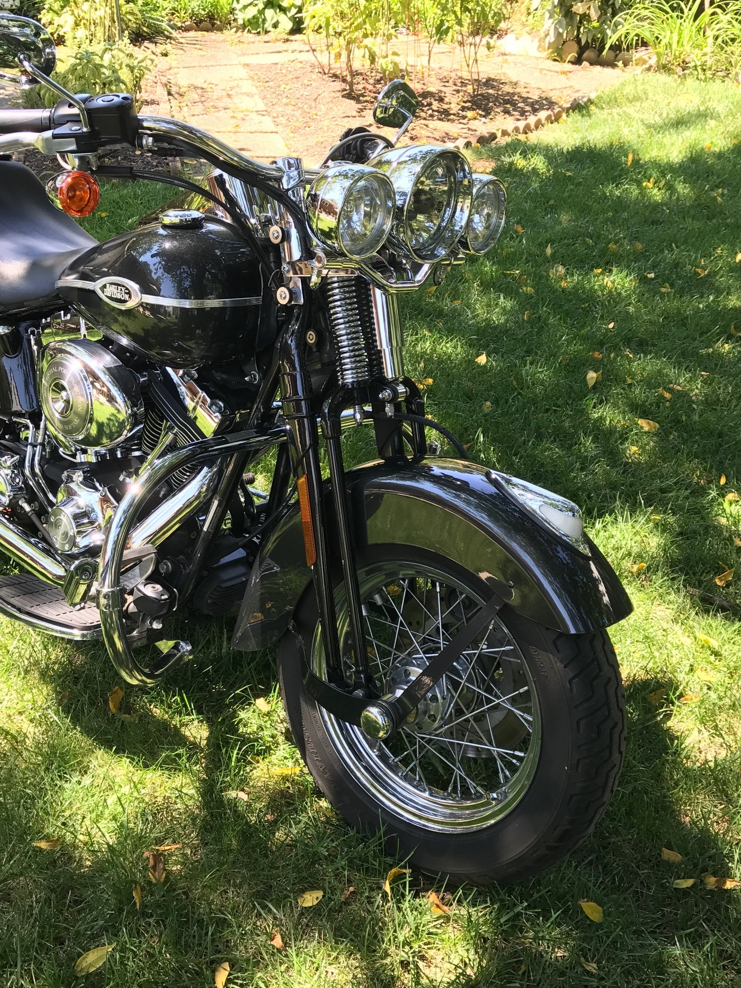 2005 Harley-Davidson® FLSTSC/I Softail® Springer® Classic for Sale in ...
