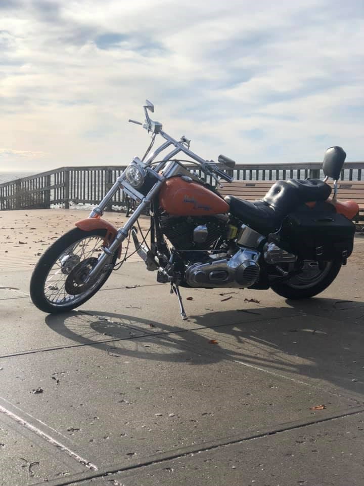 1989 Harley-Davidson® FXSTC Softail® Custom for Sale in Bristol, CT ...