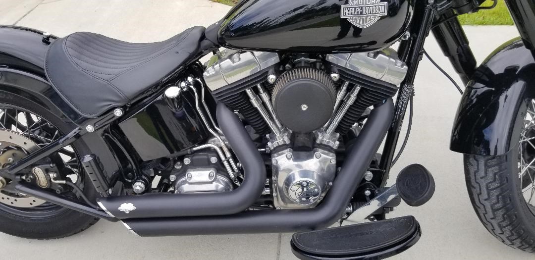 2015 Harley-Davidson® FLS Softail® Slim® for Sale in Winterville, NC ...