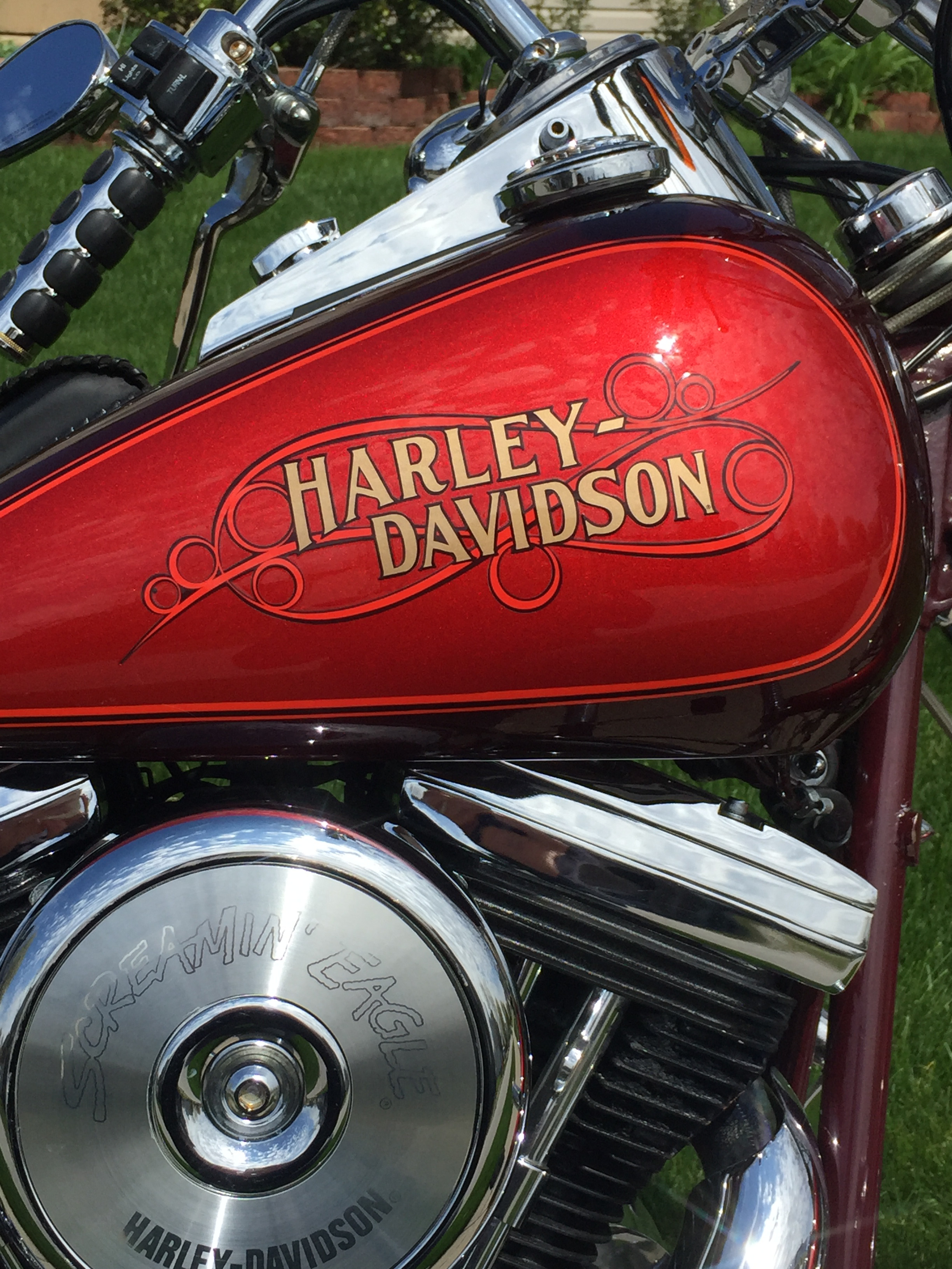 1986 Harley-Davidson® FXSTC Softail® Custom for Sale in Greenwood, IN ...