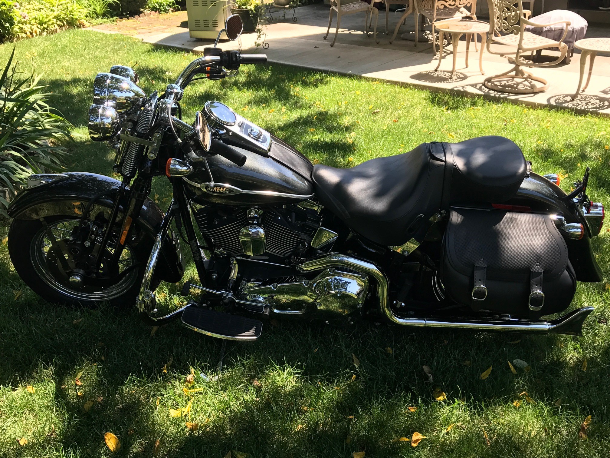 2005 Harley-Davidson® FLSTSC/I Softail® Springer® Classic for Sale in ...