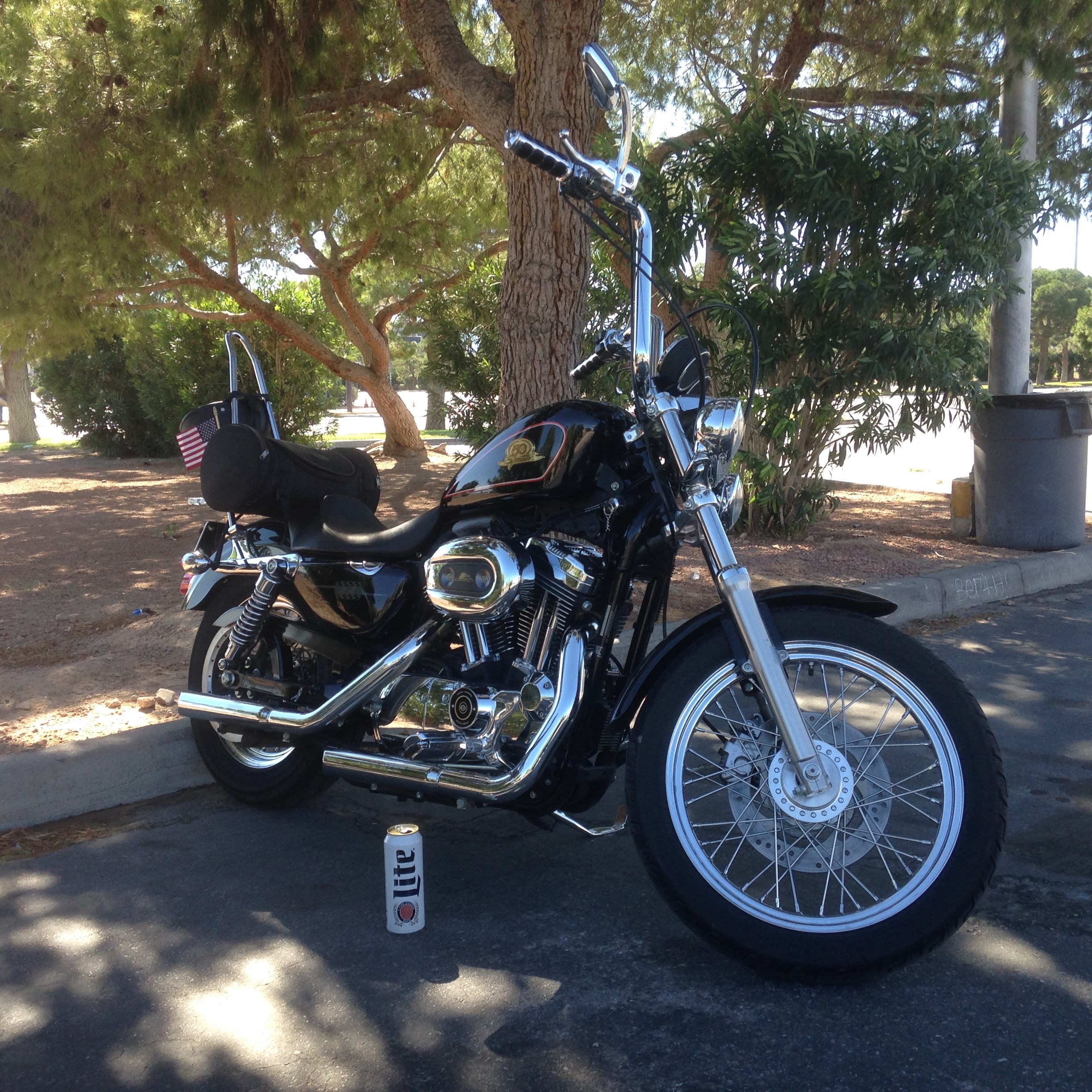 2007 Harley-Davidson® XL50 Sportster® 1200 50th Anniversary for Sale in ...