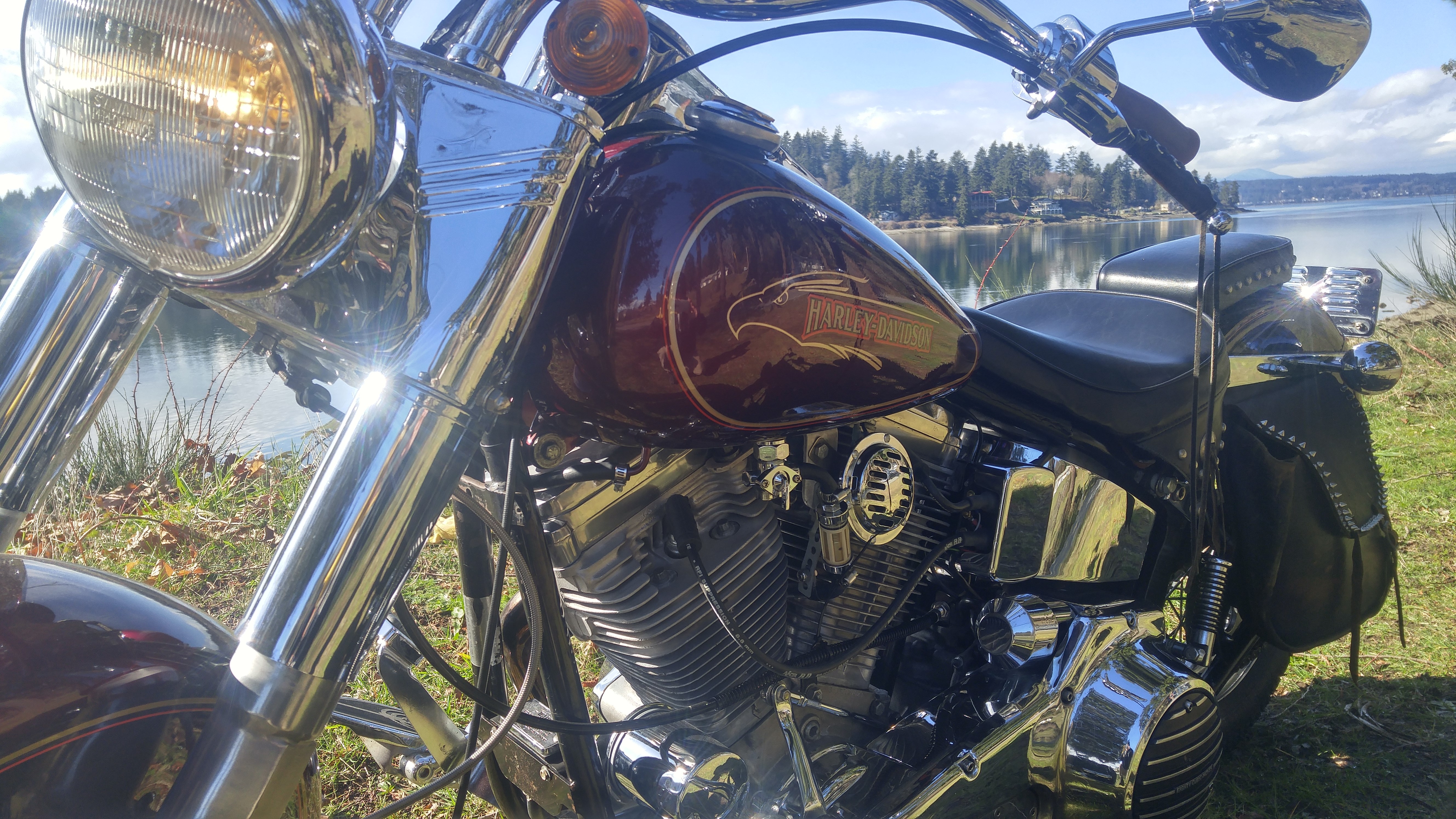 1985 Harley-Davidson® FXST Softail® for Sale in Bremerton, WA (Item 430167)
