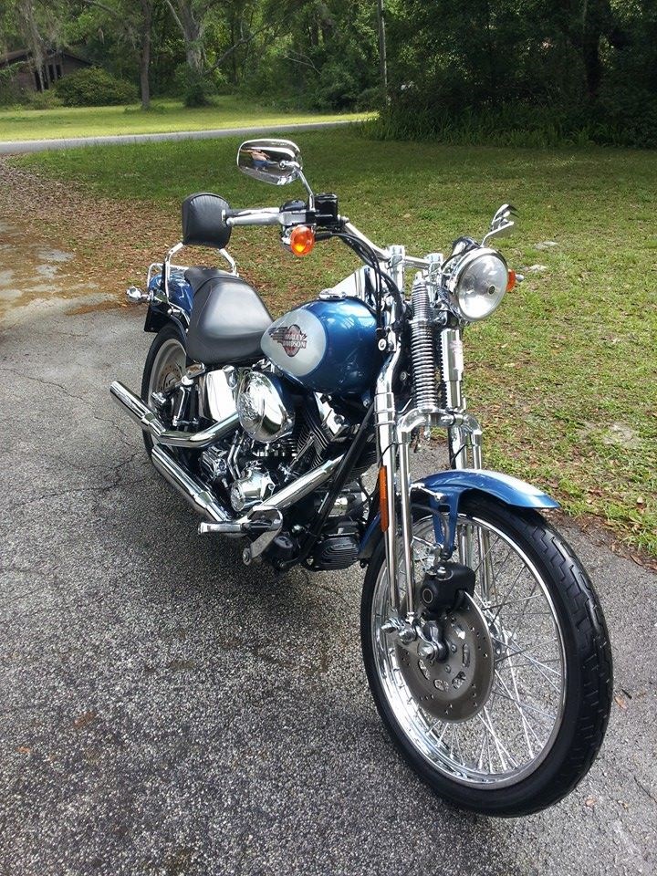 2006 Harley-Davidson® FLSTSC/I Softail® Springer® Classic for Sale in ...