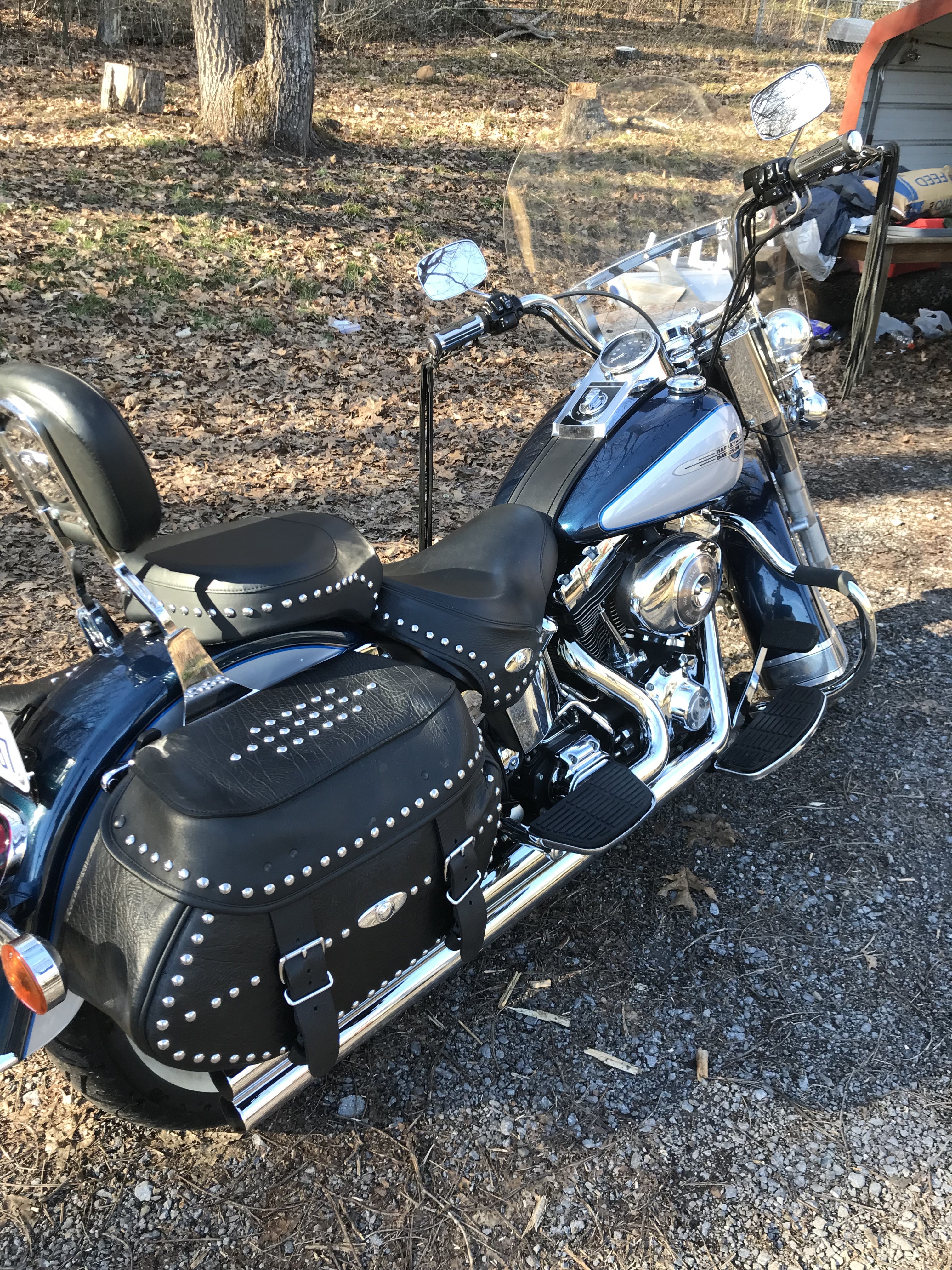 2001 Harley-Davidson® FXSTC Softail® Custom for Sale in Bastian, VA ...